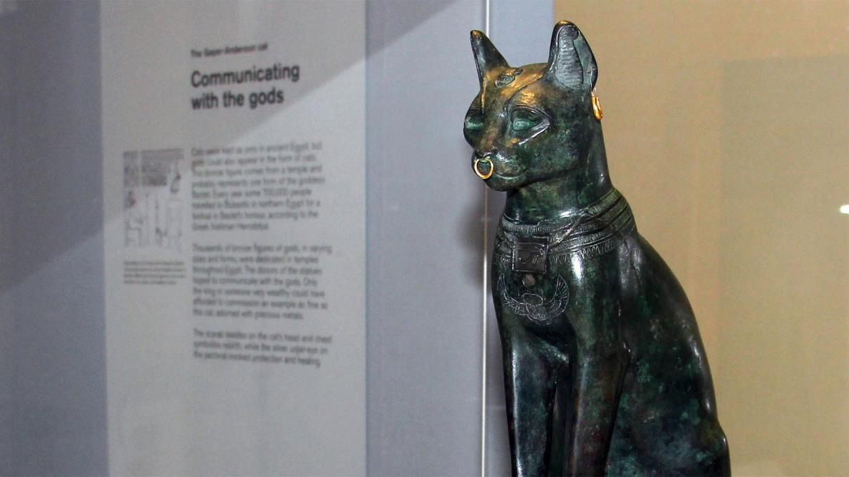 Exploring the Mysterious Embodiment: Gayer Anderson Cat